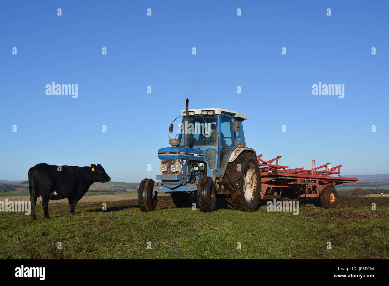 Tractor cows hi-res stock photography and images - Alamy