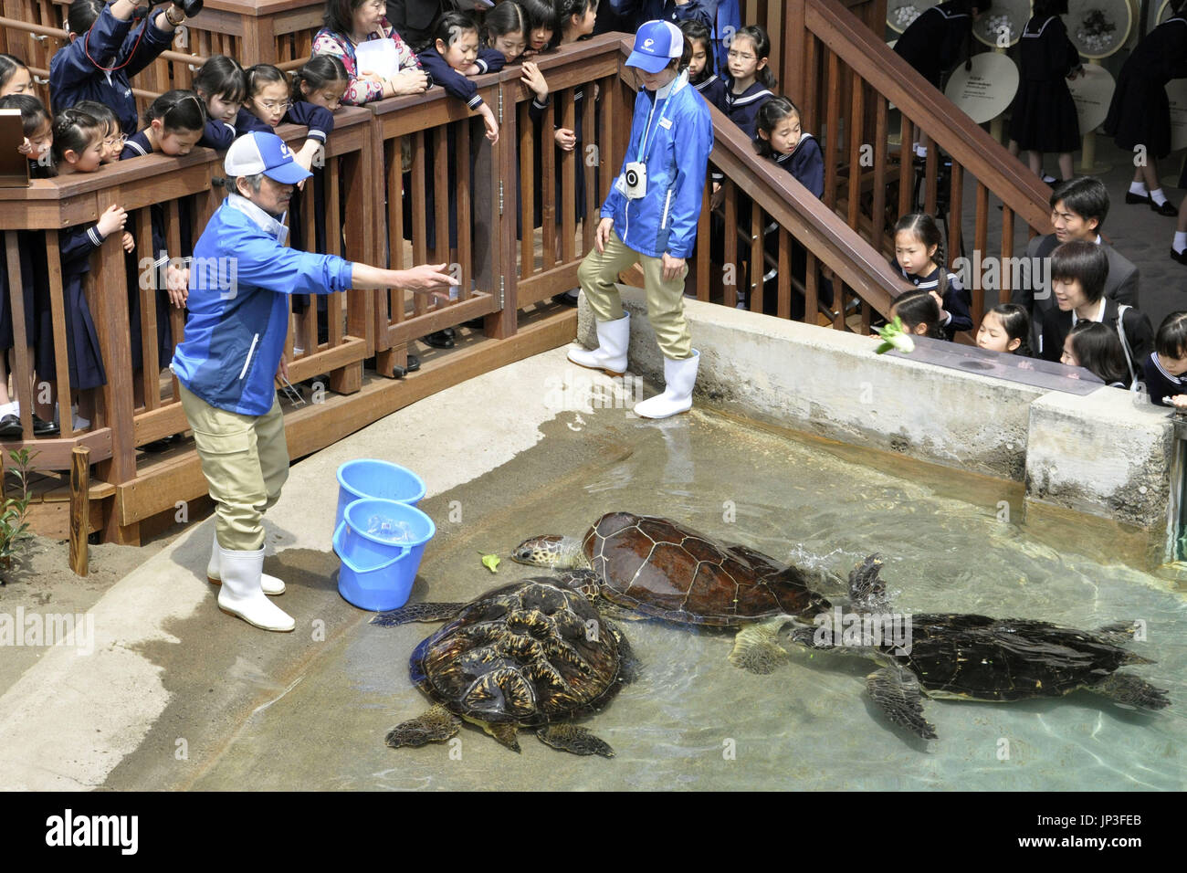 YOKOHAMA, Japan - Sea Turtle Beach, a new outdoor facility, opened on ...