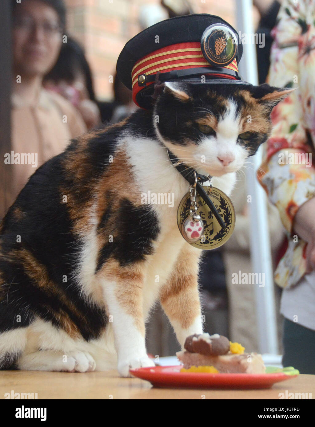 WAKAYAMA, Japan - Tama, a feline "station master" at Wakayama Electric ...