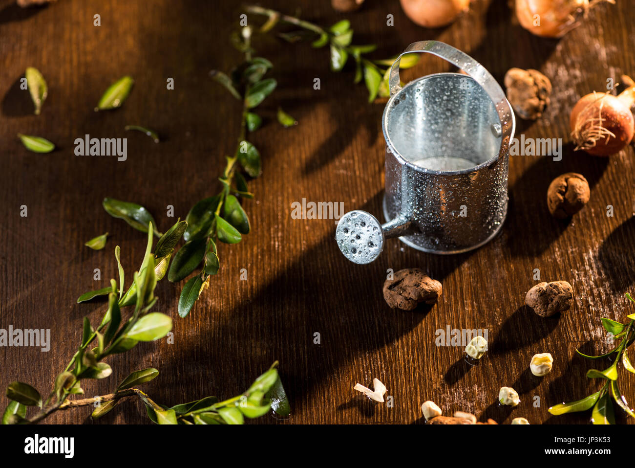Close-up view of watering can and different plants, garden scene ...