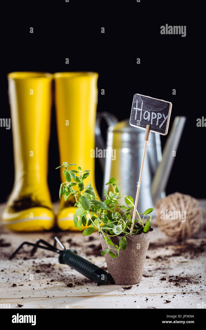 Close-up view of green potted plant with happy card and garden rake ...