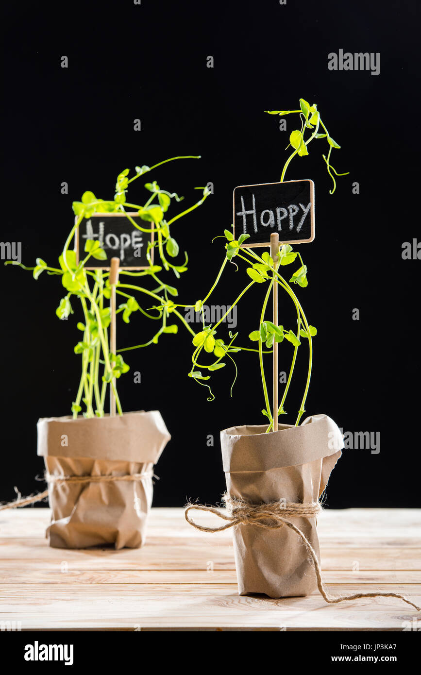 Hope botanical garden hi-res stock photography and images - Alamy