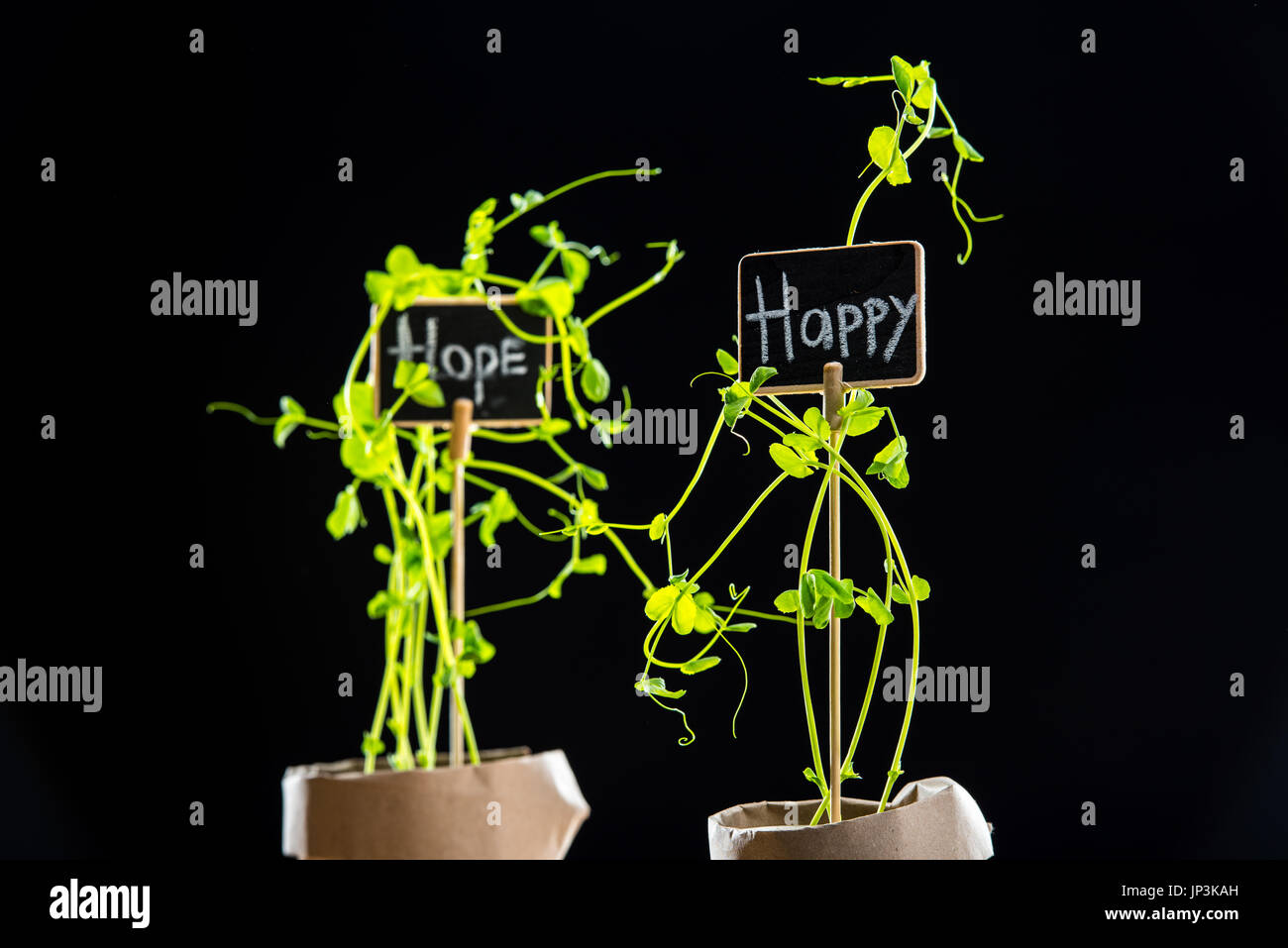Agricultural symbols hi-res stock photography and images - Alamy