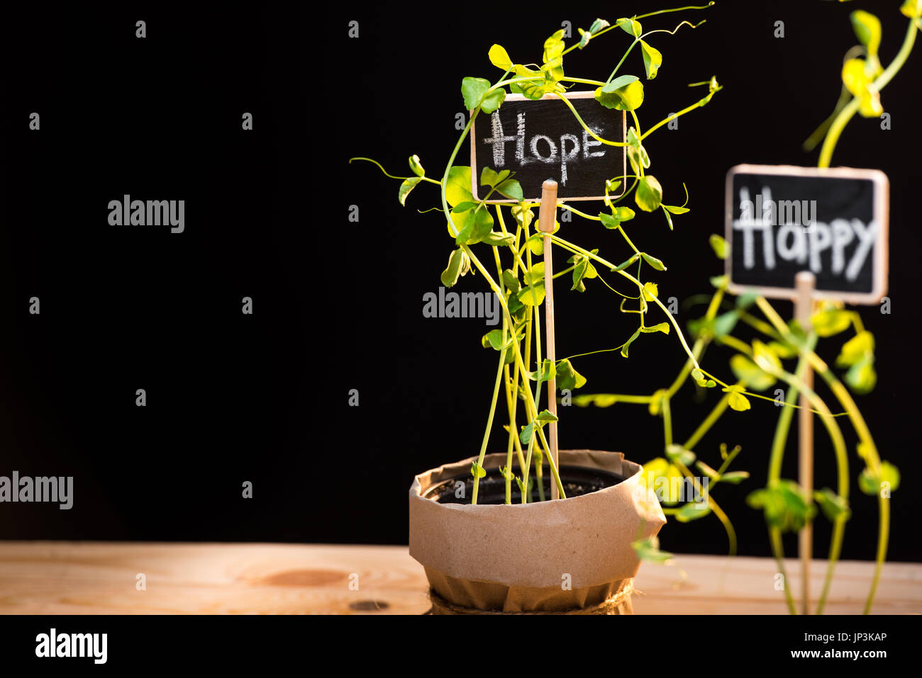 Agricultural symbols hi-res stock photography and images - Alamy