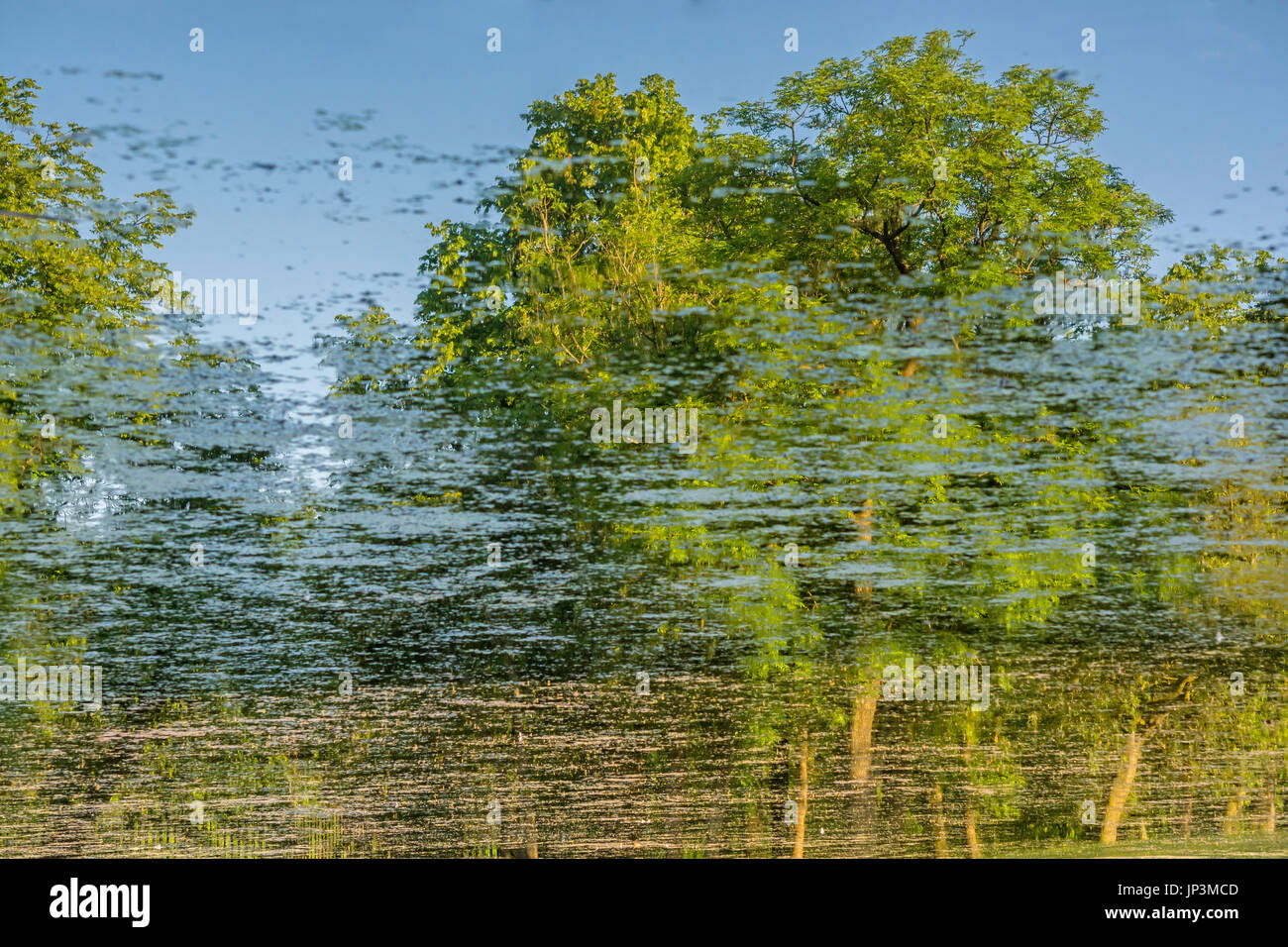 Reflections at sunrise early morning sun light reflected in still ...