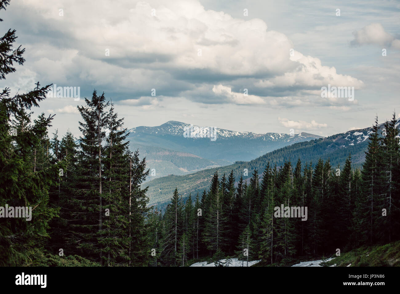 landscape in mountains Carpathians Ukraine, Dragobrat Stock Photo - Alamy