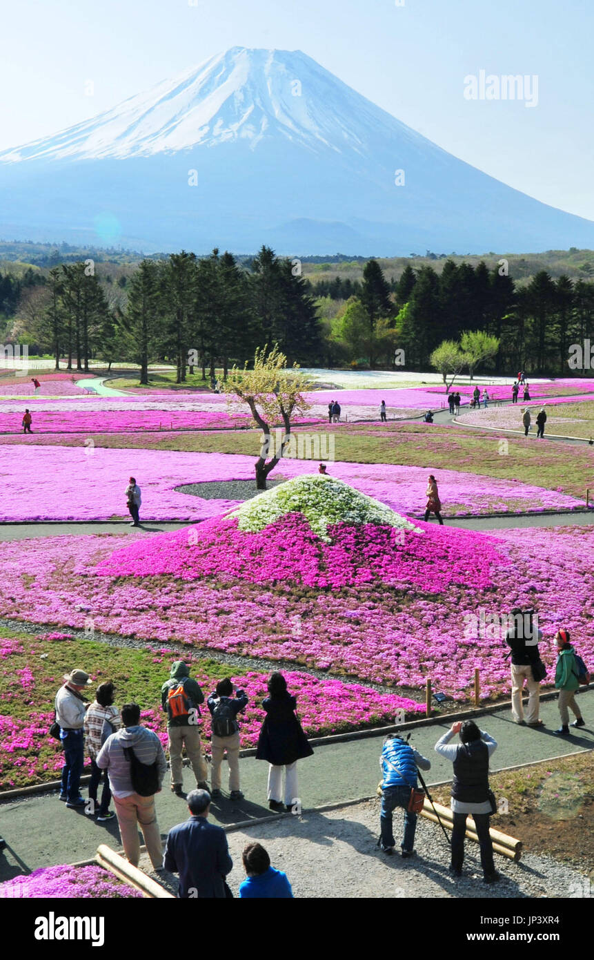 KOFU, Japan - Visitors to Fuji Motosuko Resort in Fuji Kawaguchiko ...