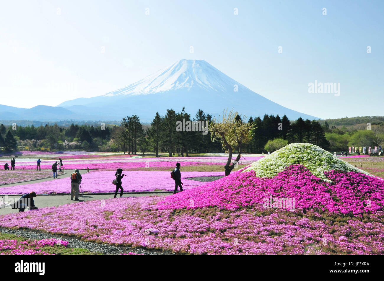KOFU, Japan - Visitors to Fuji Motosuko Resort in Fuji Kawaguchiko ...