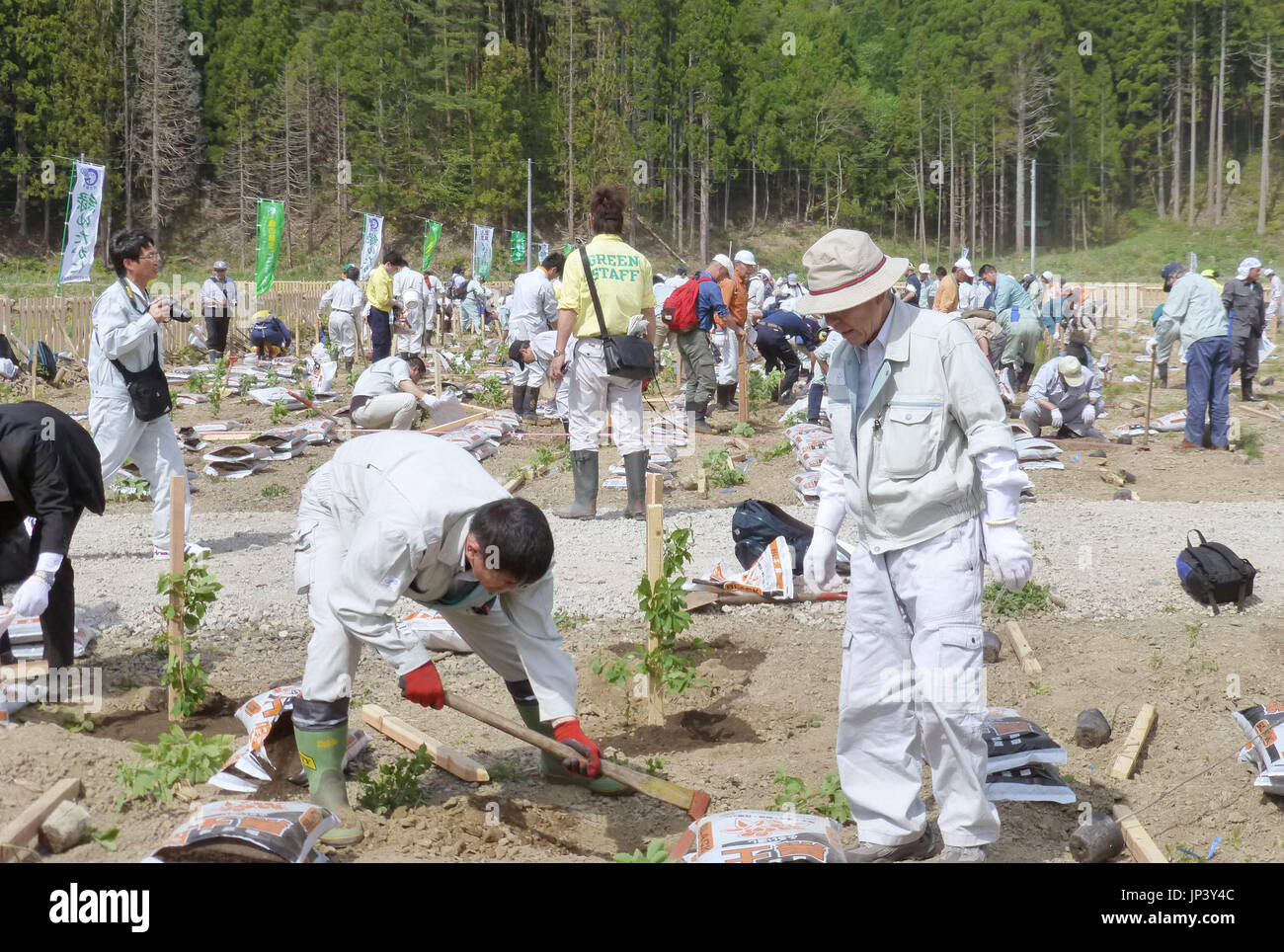 MIYAKO, Japan - People plant young trees to reforest an area in the ...