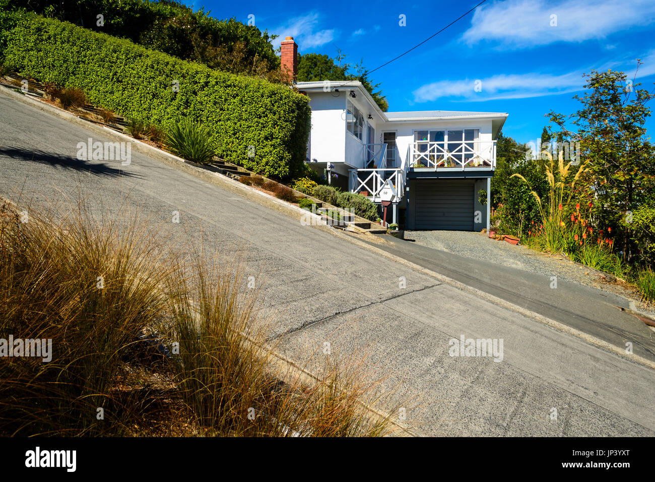 Baldwin street - the steepest street in the world, Dunedin, New Zealand ...