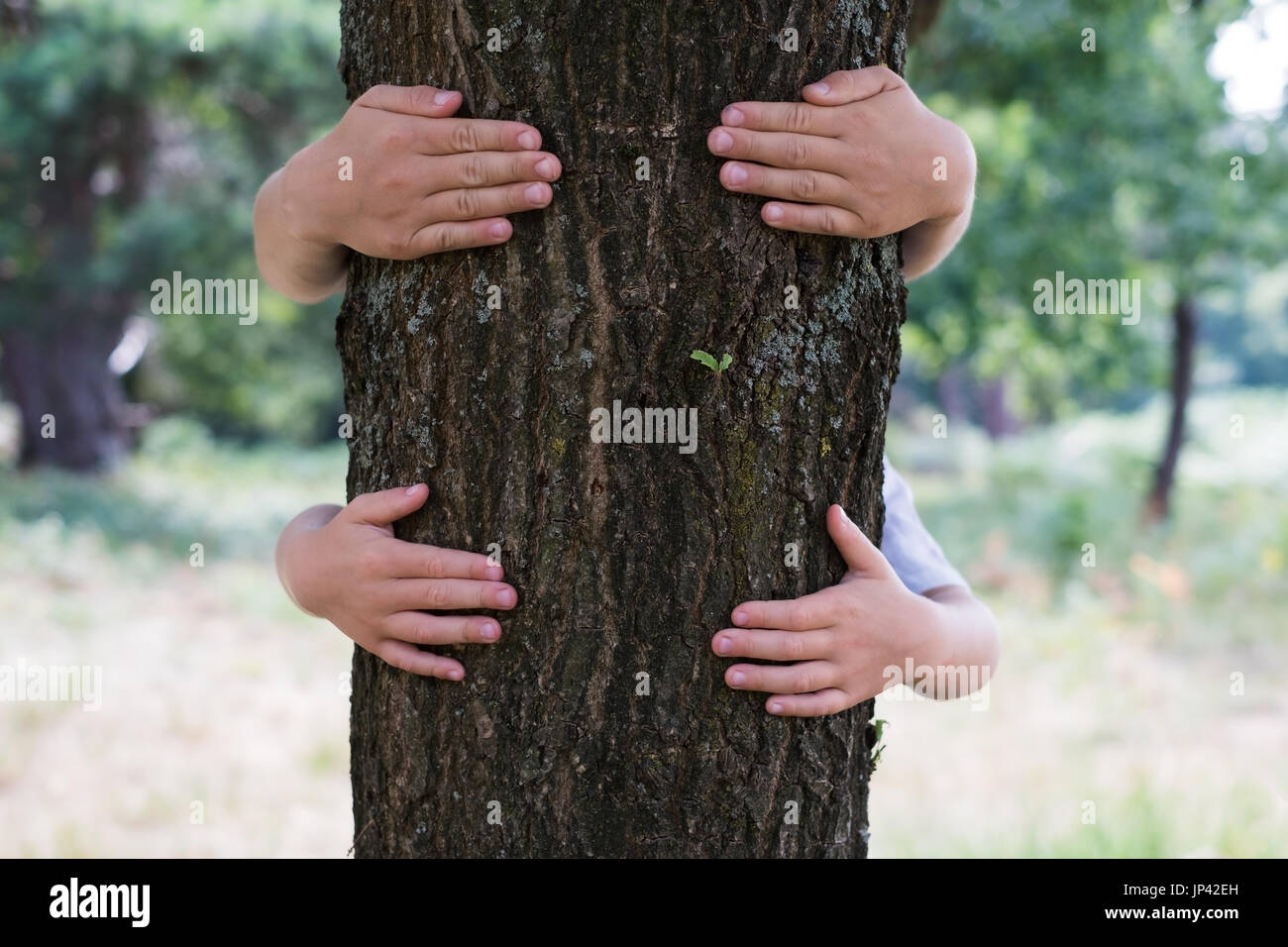 Tree hug children hi-res stock photography and images - Alamy
