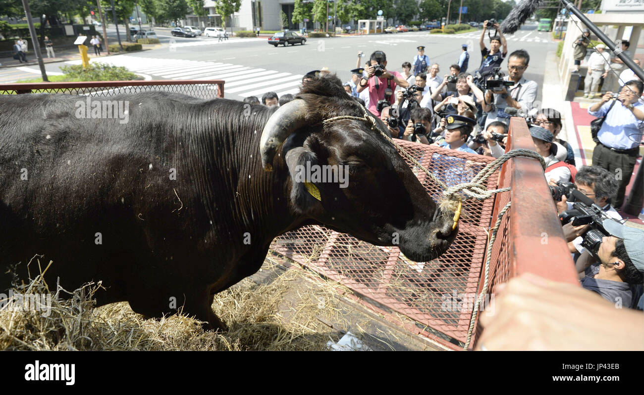 TOKYO, Japan - Photo taken in front of the farm ministry in Tokyo on ...