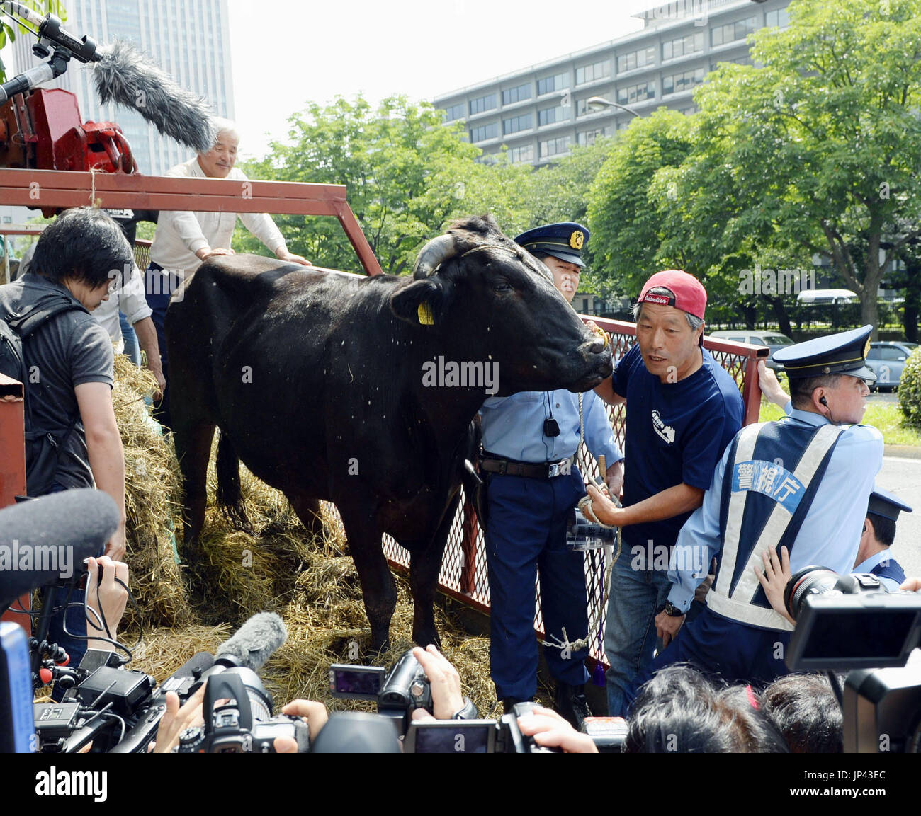 TOKYO, Japan - Masami Yoshizawa (2nd from R), 60, a cattle farmer from ...