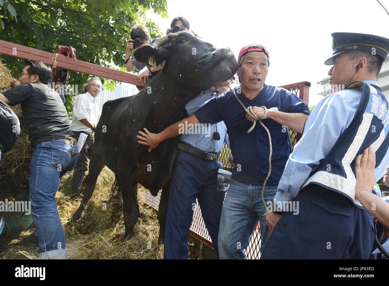 TOKYO, Japan - Masami Yoshizawa (2nd from R), 60, a cattle farmer from ...