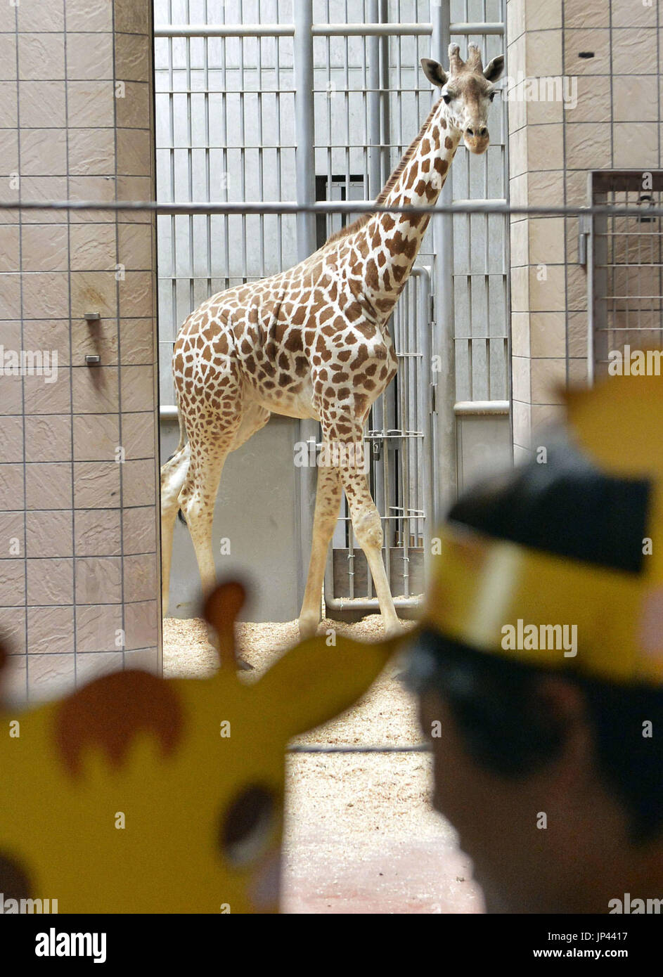 OSAKA, Japan - Harukas, a giraffe donated to Tennoji Zoo by Kintetsu ...