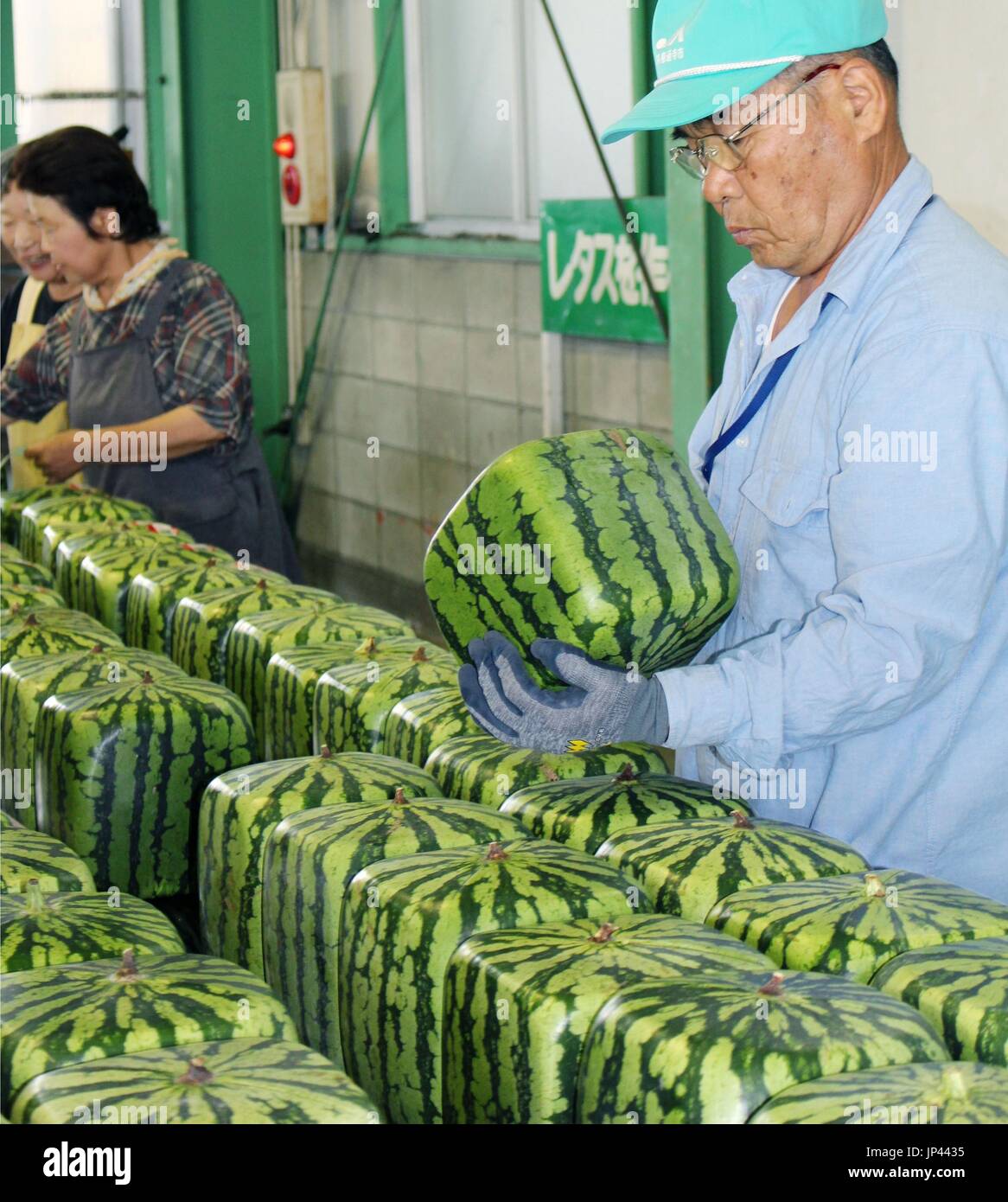TAKAMATSU, Japan - Ornamental watermelons known for their unusual ...