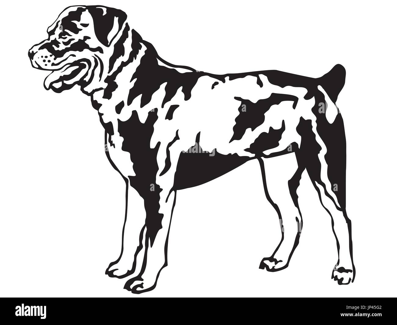 Rotweiler dog Stock Vector Images - Alamy