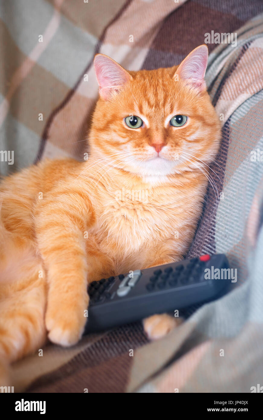 Smart tv pretty hi-res stock photography and images - Alamy