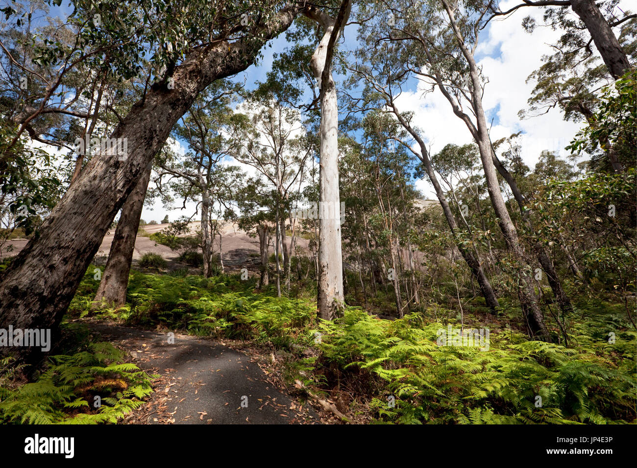 Bald rock hi-res stock photography and images - Alamy