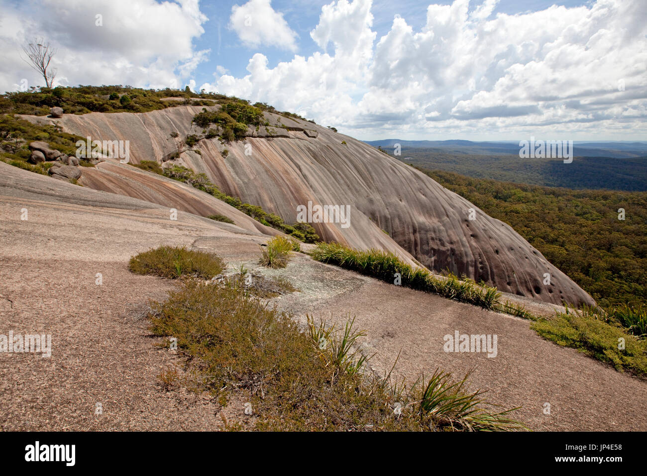 Bald Rock National Park, New South Wales, Australia Stock Photo - Alamy