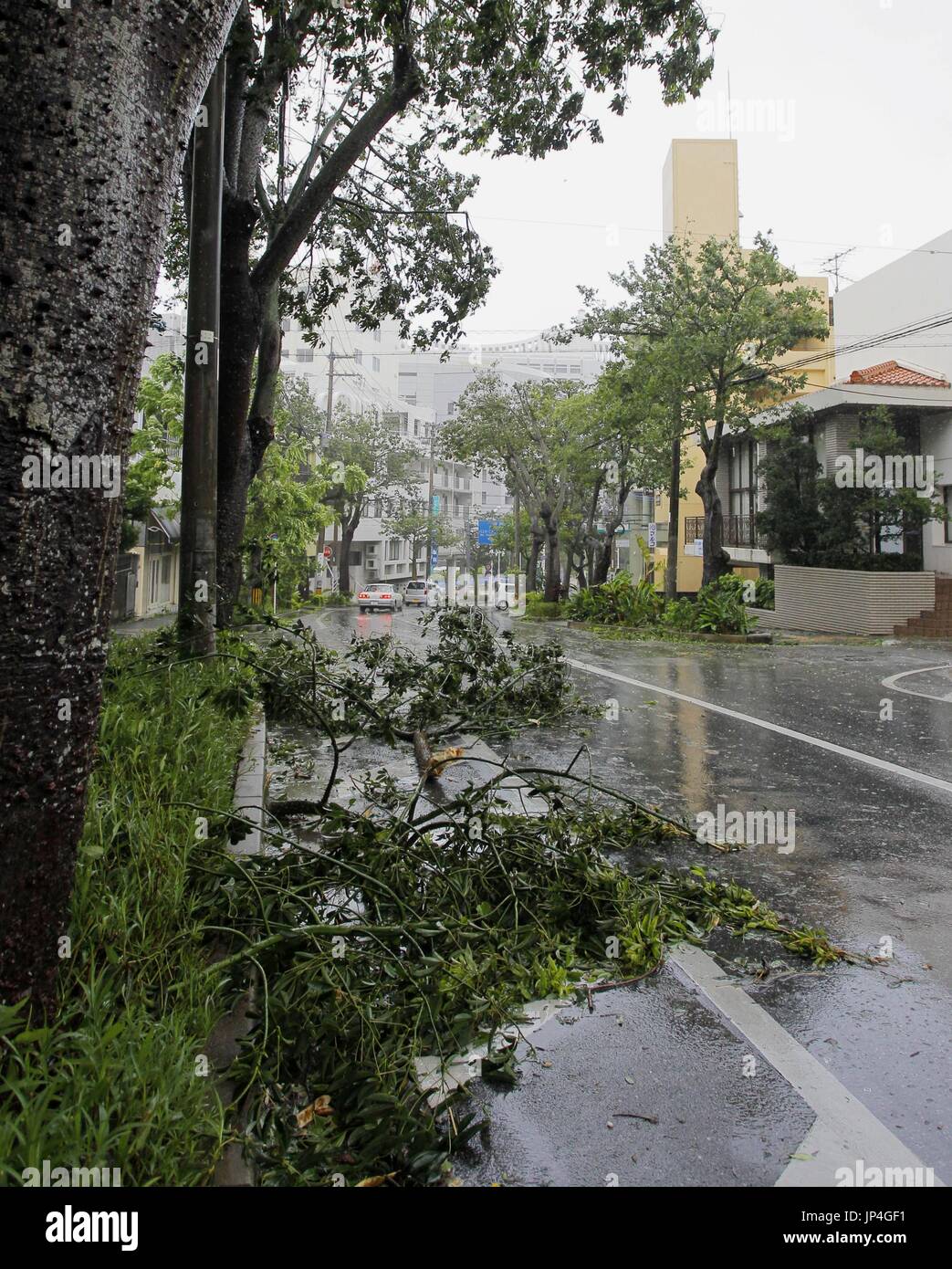 NAHA, Japan - Photo shows fallen branches on a road in Naha, Okinawa ...