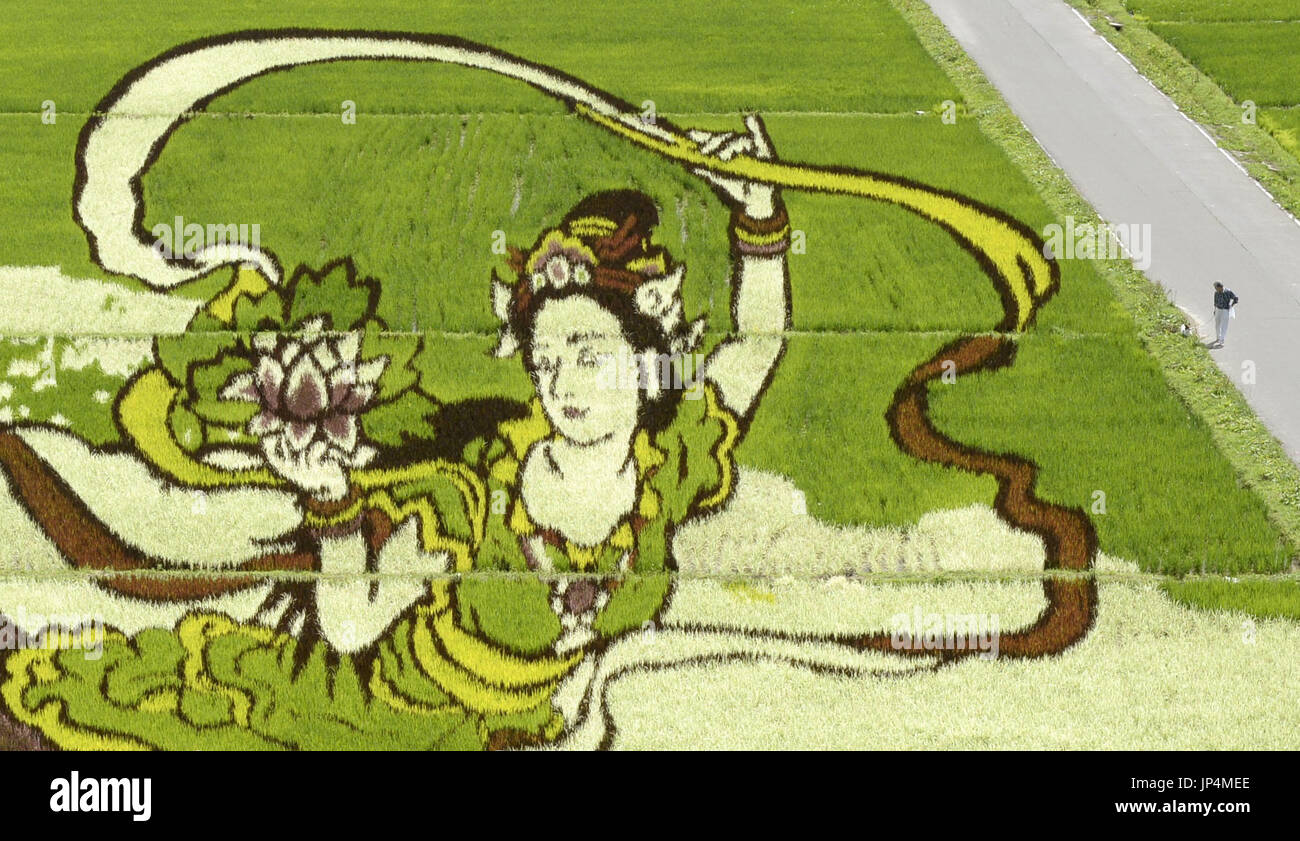 INAKADATE, Japan - A flying nymph is seen depicted on a rice field in ...