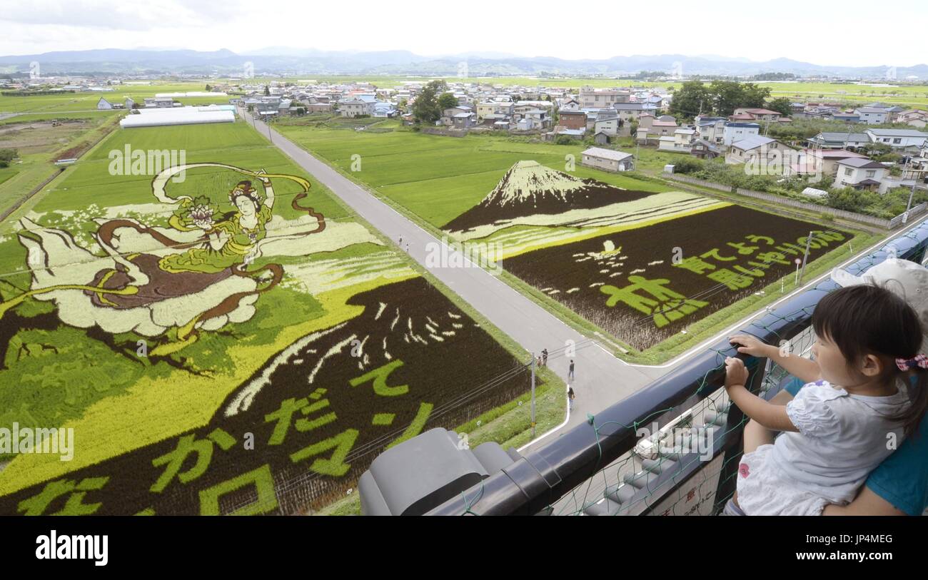 INAKADATE, Japan - Mt. Fuji and a nymph are seen depicted on rice ...