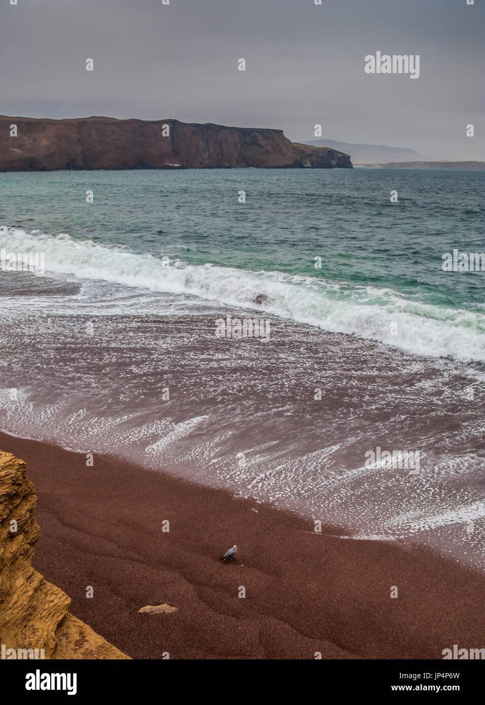 The coast and red sand beach of Paracas National Reserve in Peru Stock ...