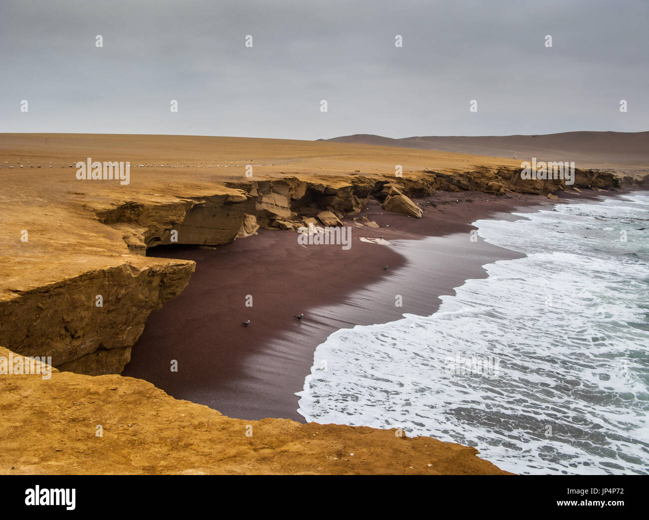 The coast and red sand beach of Paracas National Reserve in Peru Stock ...