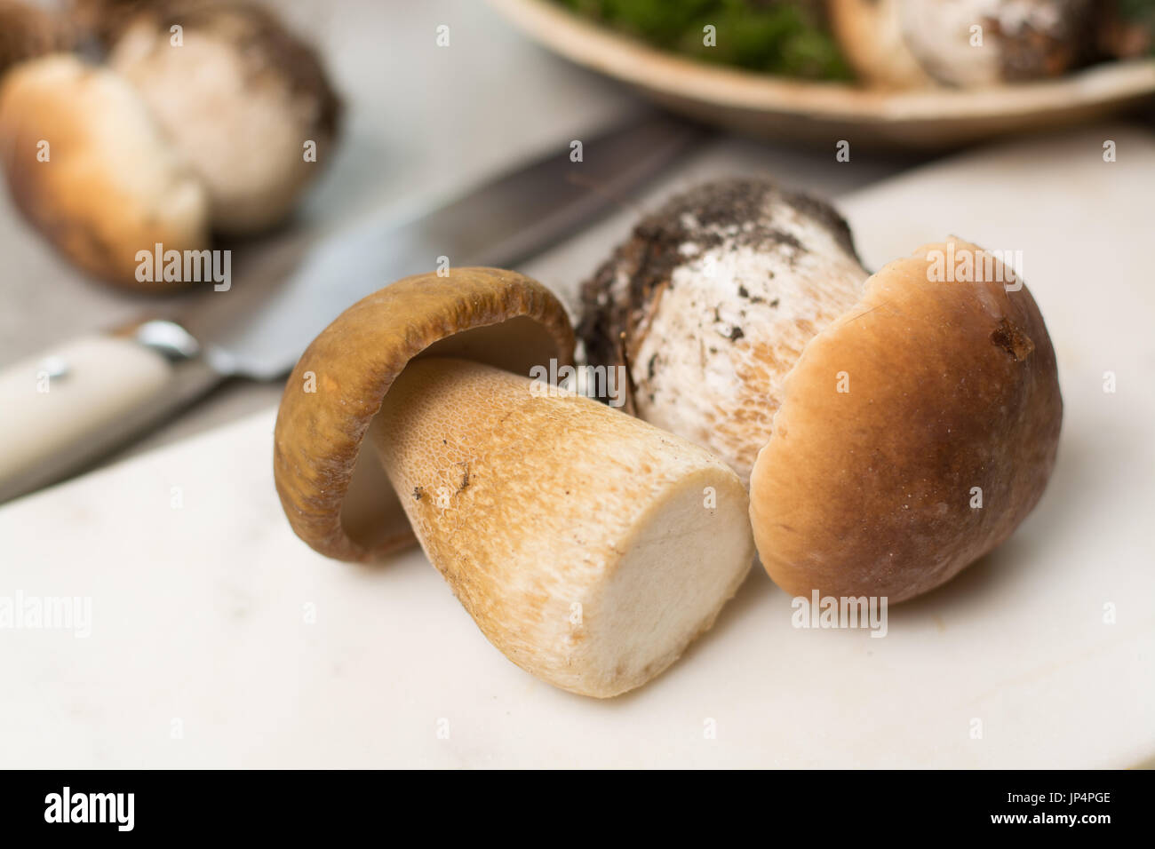 Tasty food - fresh porcini boletus oak muchrooms, high quality, ready ...