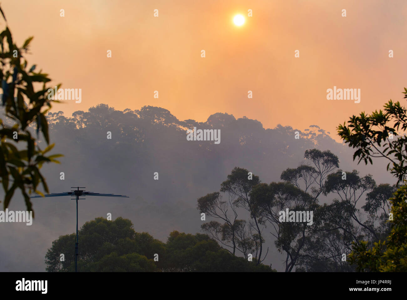 Bushfire preparation hi-res stock photography and images - Alamy