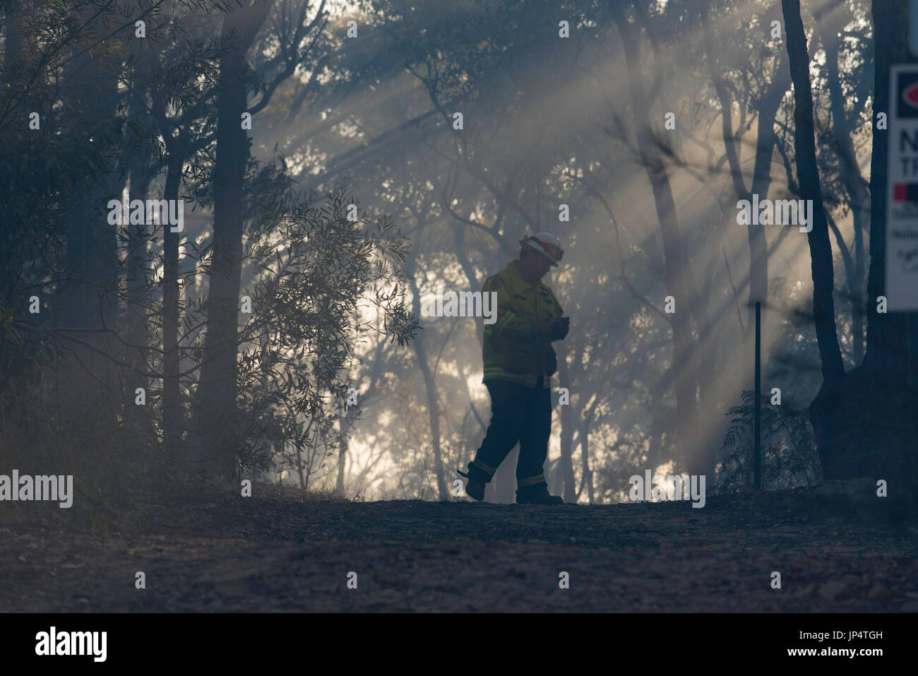 A National Parks and Wildlife worker walks down a bush track through ...