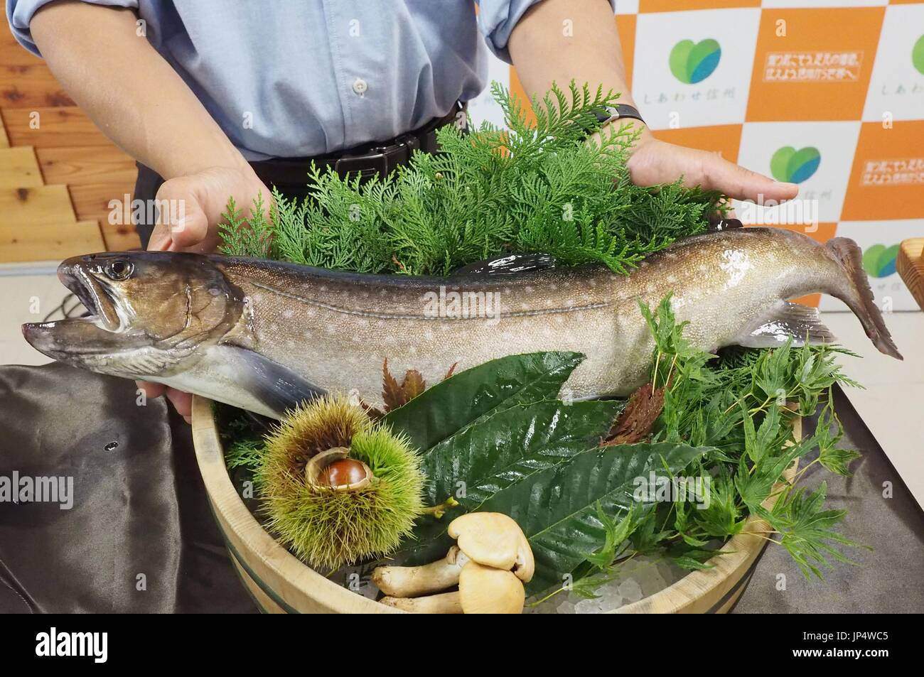NAGANO, Japan - A big white-spotted char or "iwana" is shown in Nagano ...