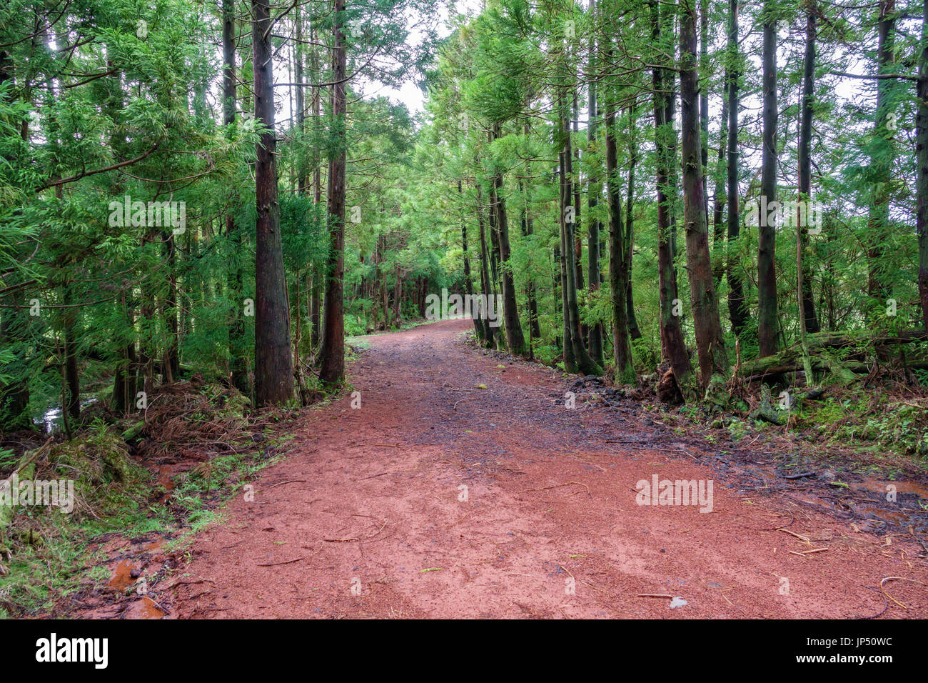 Track of land hi-res stock photography and images - Alamy