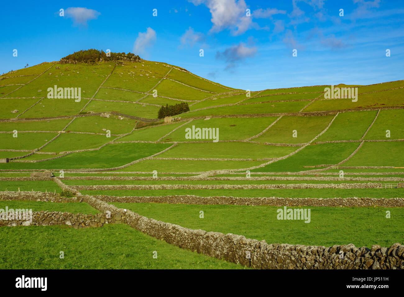 Agriculture In The Azores High Resolution Stock Photography and Images ...