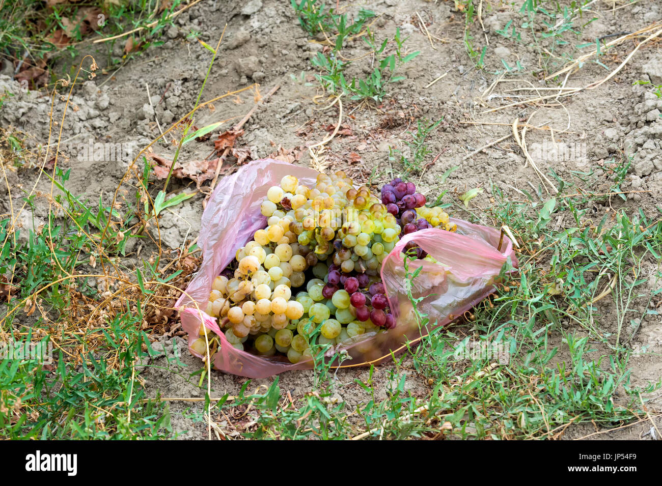 Plastic bag of grapes hi-res stock photography and images - Alamy