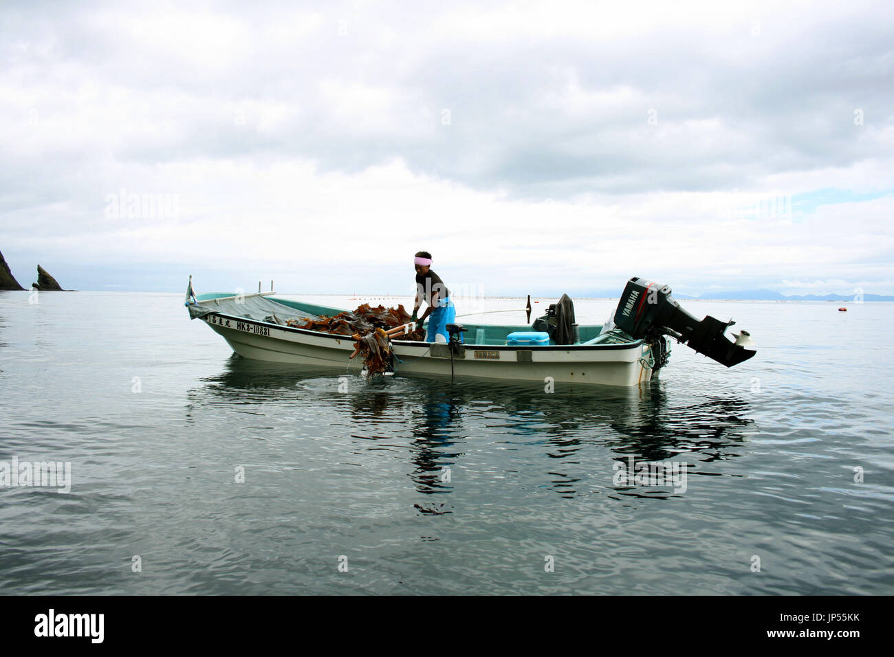 KUSHIRO, Japan - A fisherman gathers "kombu" sea tangle off the coast of Rausu Town on the ...