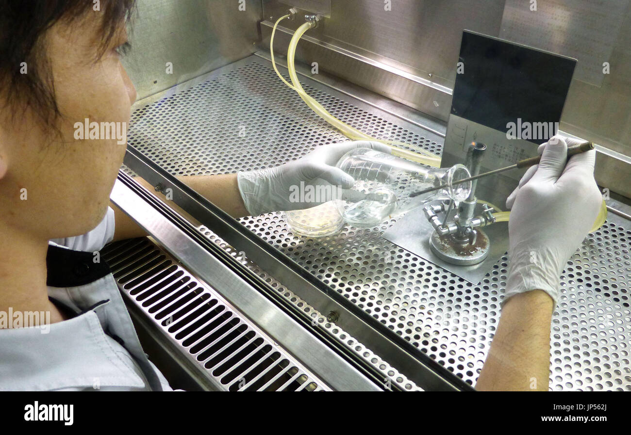 OKAYAMA, Japan - A researcher at Hayashibara Co., a Japanese ...