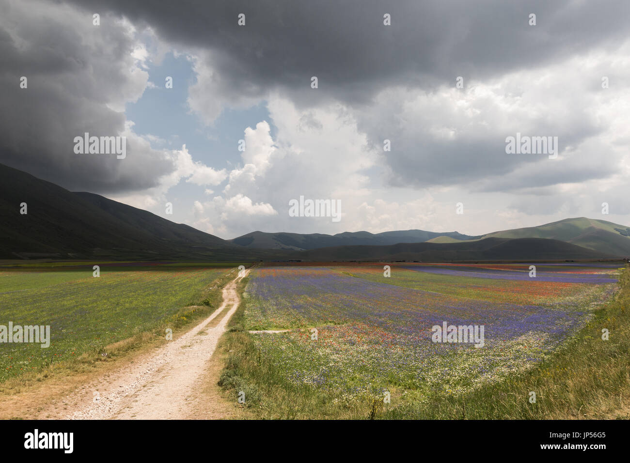 A very long country road, heading to some hills, in the midst of big ...