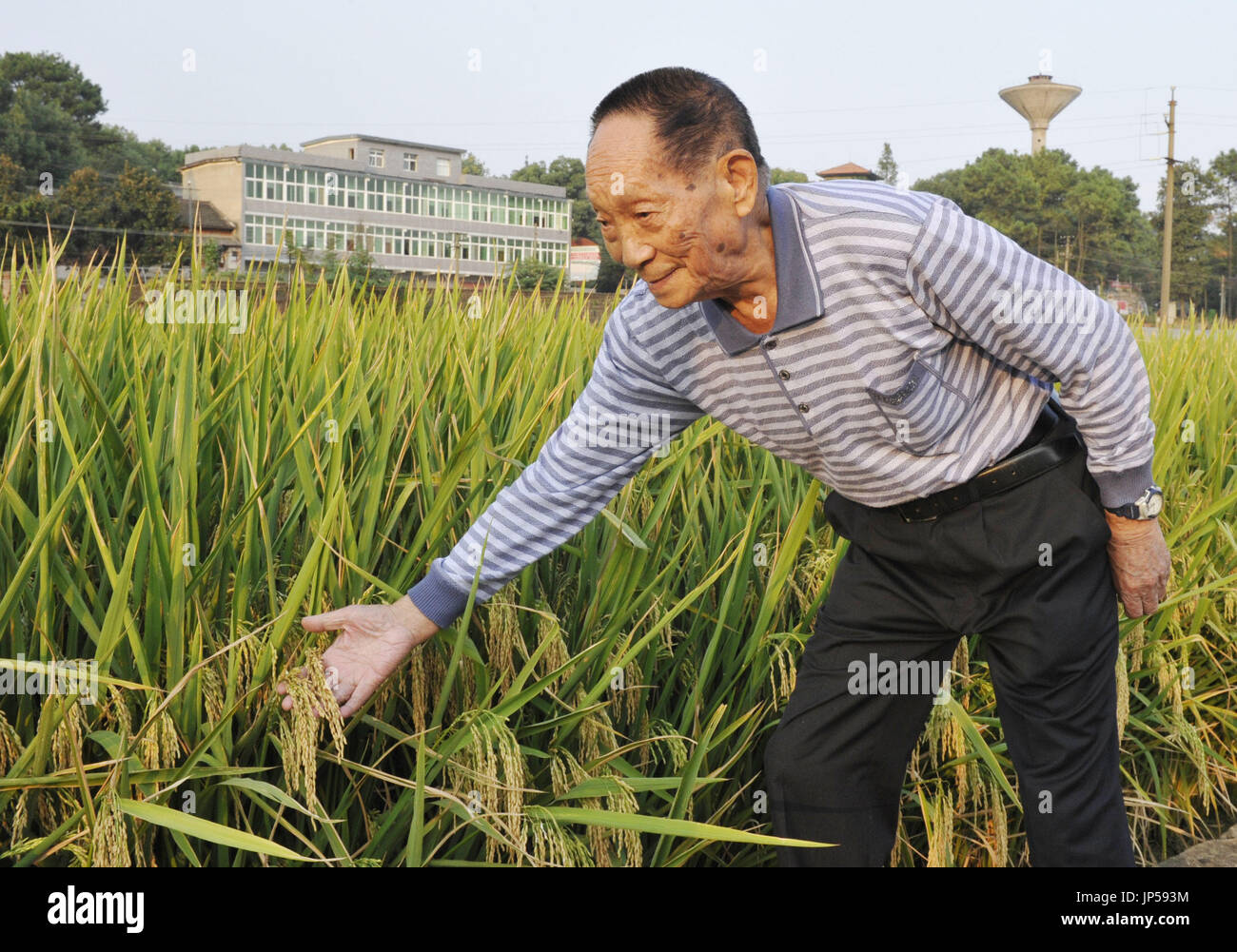 BEIJING, China - Yuan Longping, known as the "father of hybrid rice ...