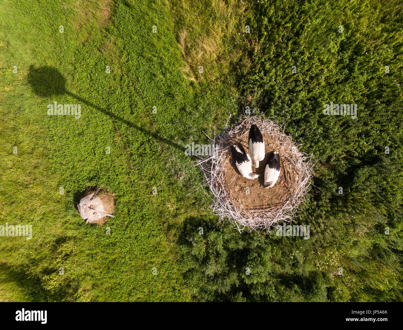 Aerial view storks nest in hi-res stock photography and images - Alamy