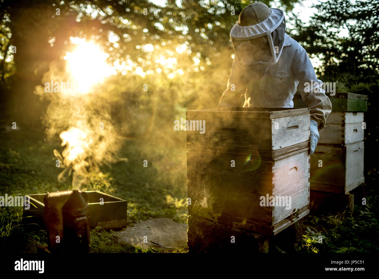 Beekeeper wearing a veil holding a beehive with a smoker for calming ...