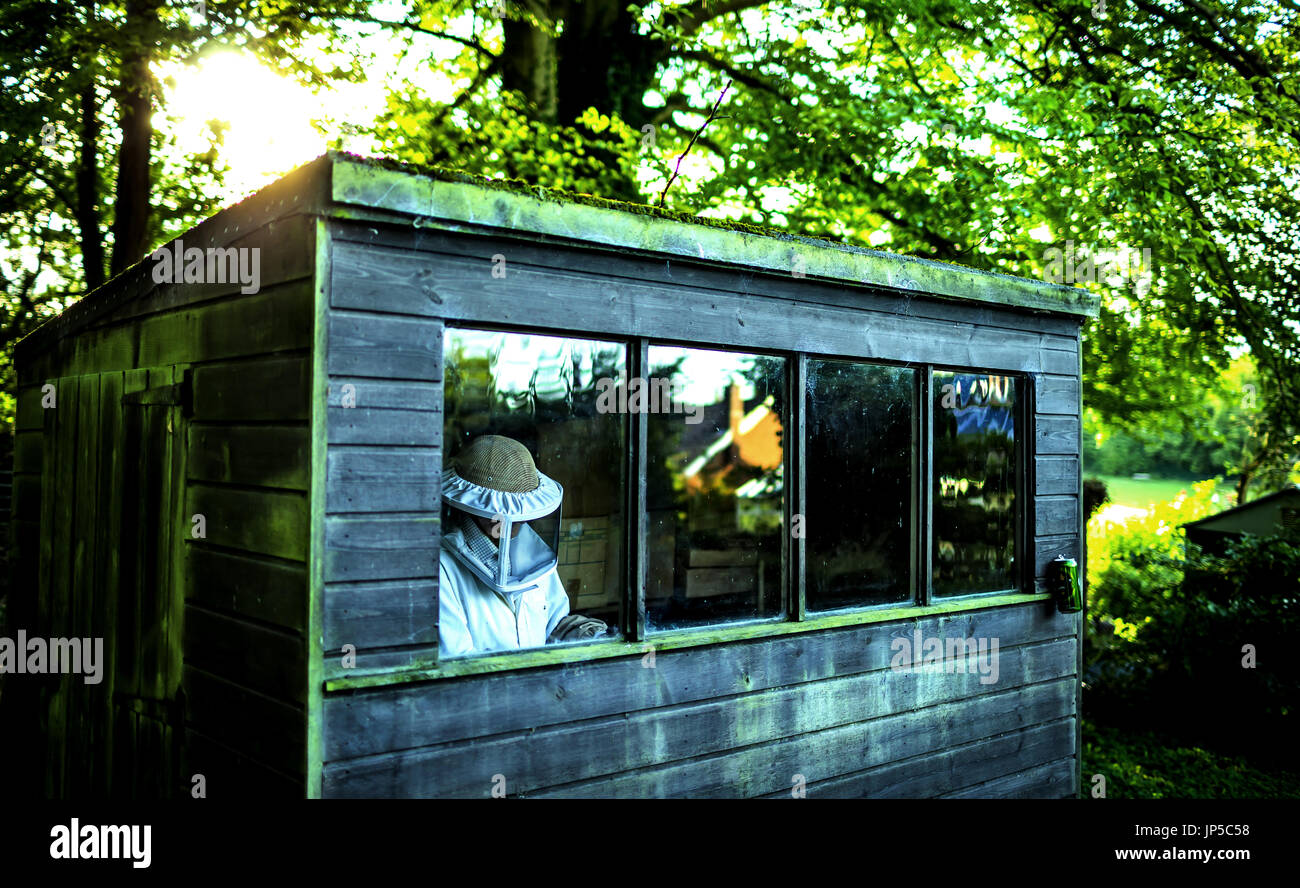 A beekeeper wearing a veil seen through the window of a garden shed ...