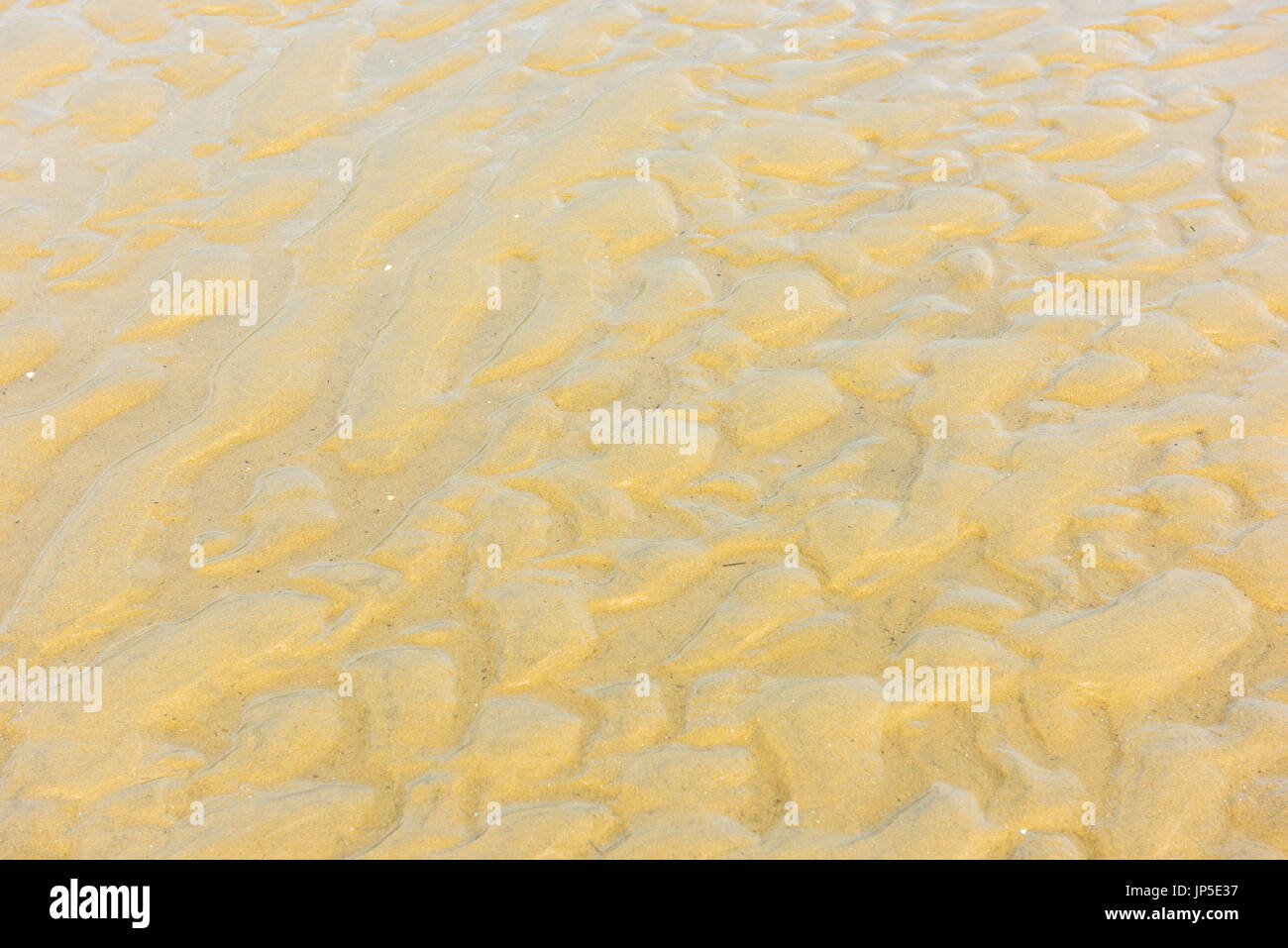 Top view of a sand sea bottom for background and texture Stock Photo ...
