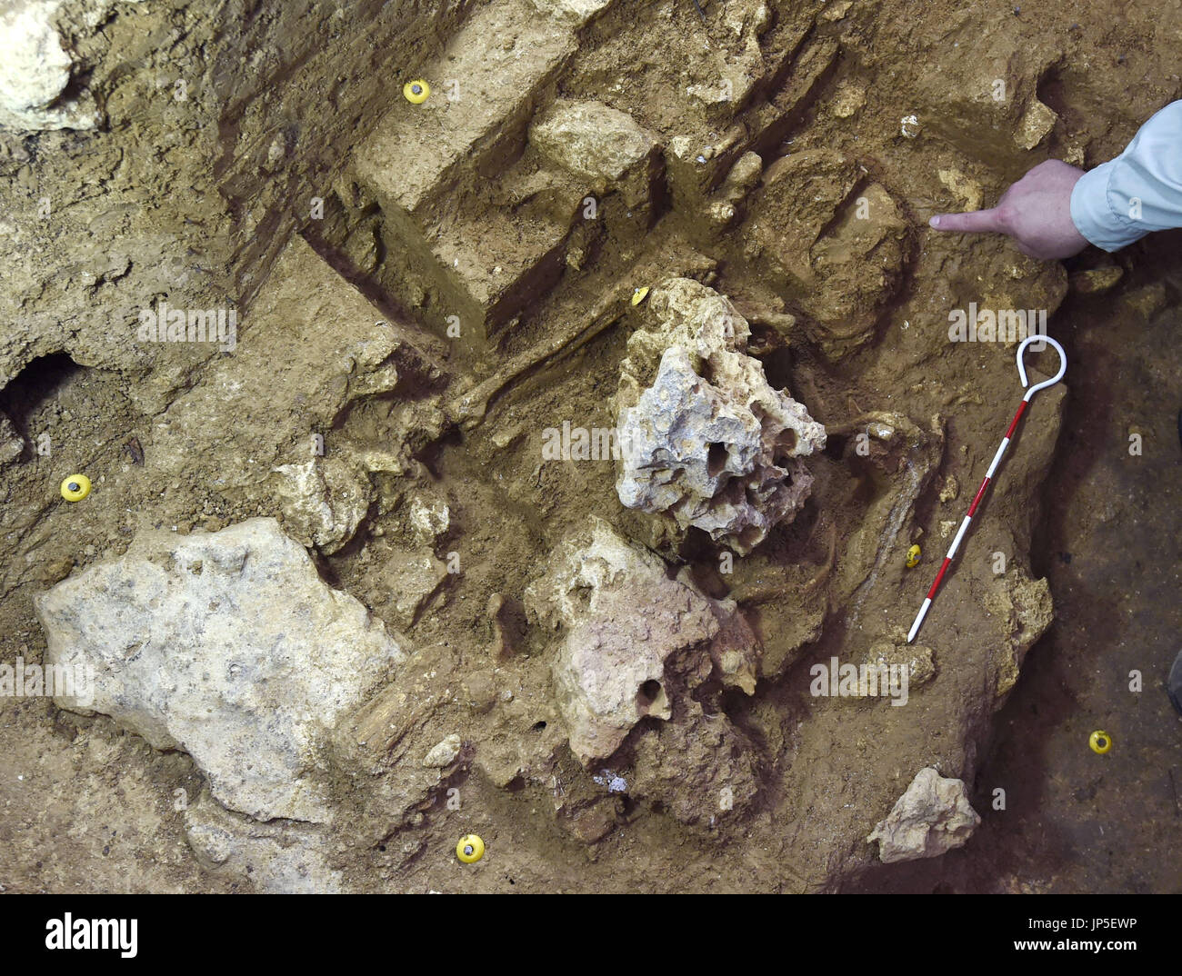 NANJO, Japan - The Okinawa Prefectural Museum and Art Museum unveils ...