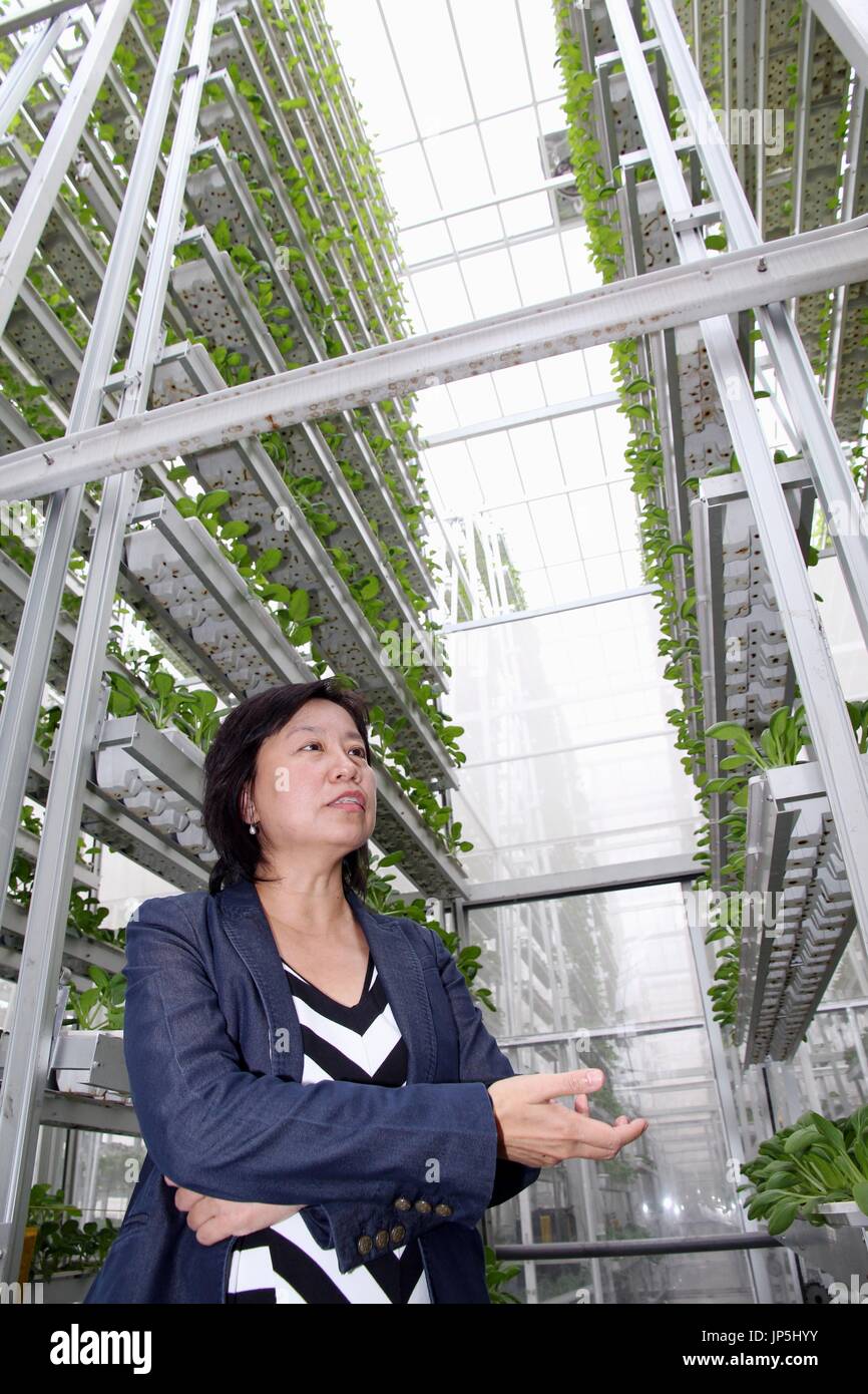 SINGAPORE, Singapore - Ong Geok Chwee, COO of Singapore startup company ...