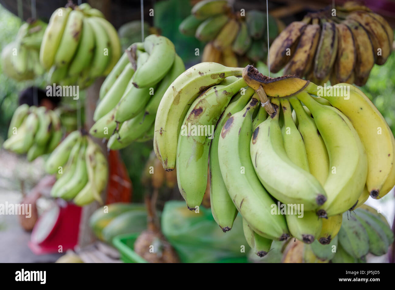 nature green banana at countryside , Philippines Stock Photo - Alamy