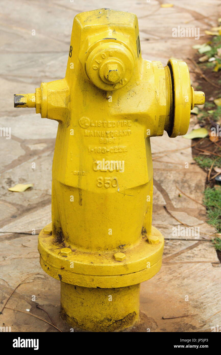 Close up image of a main fire hydrant Stock Photo - Alamy