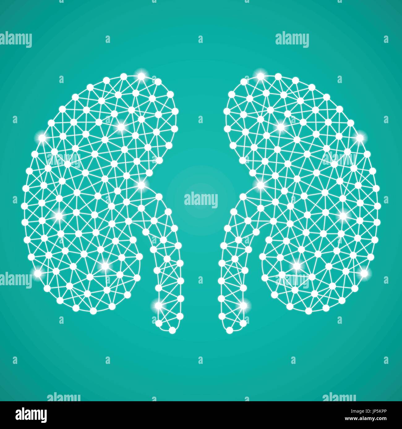Human Kidney Isolated On A Black Background. Vector Illustration Stock ...