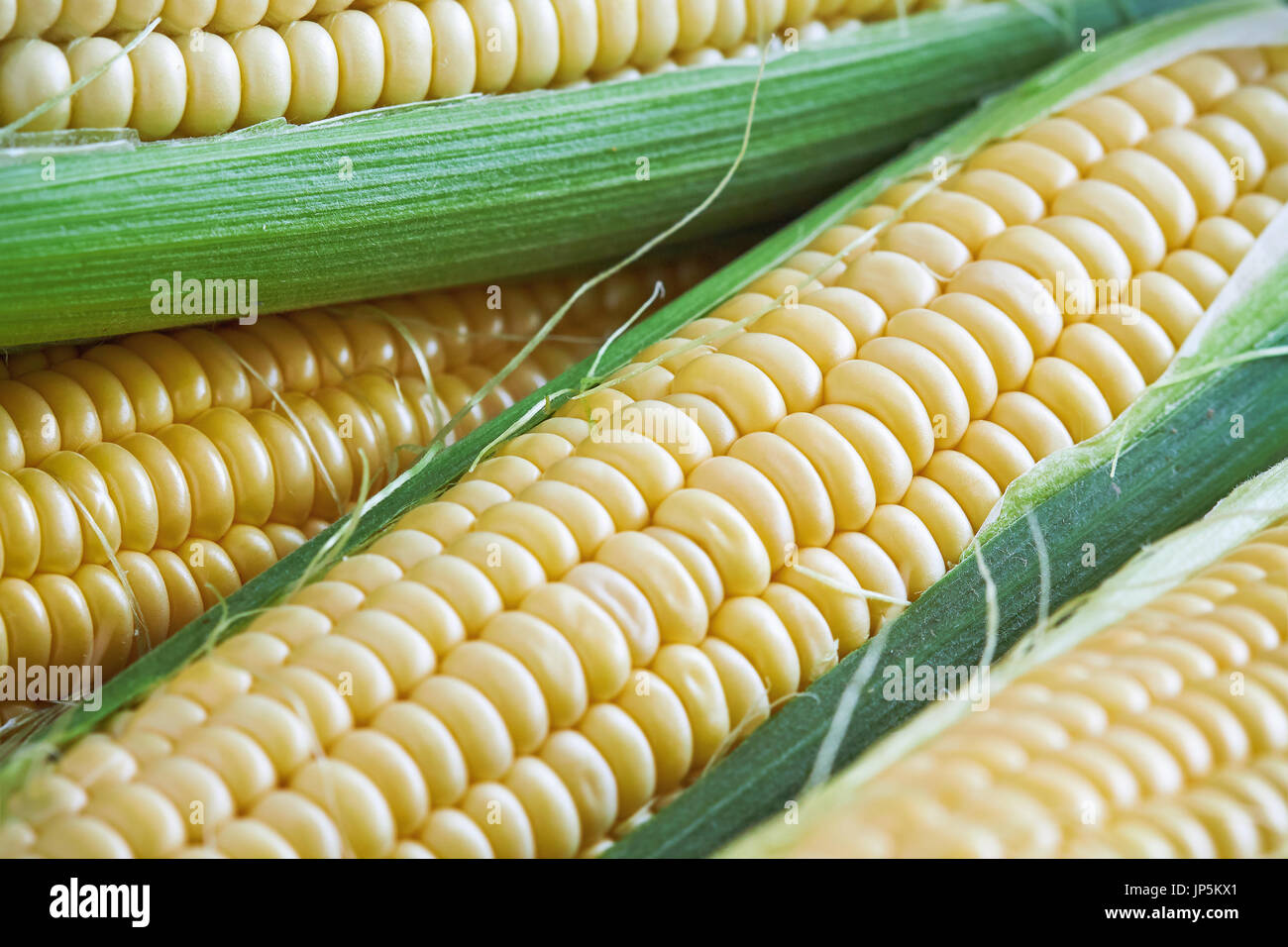 Freshly picked corn hi-res stock photography and images - Alamy